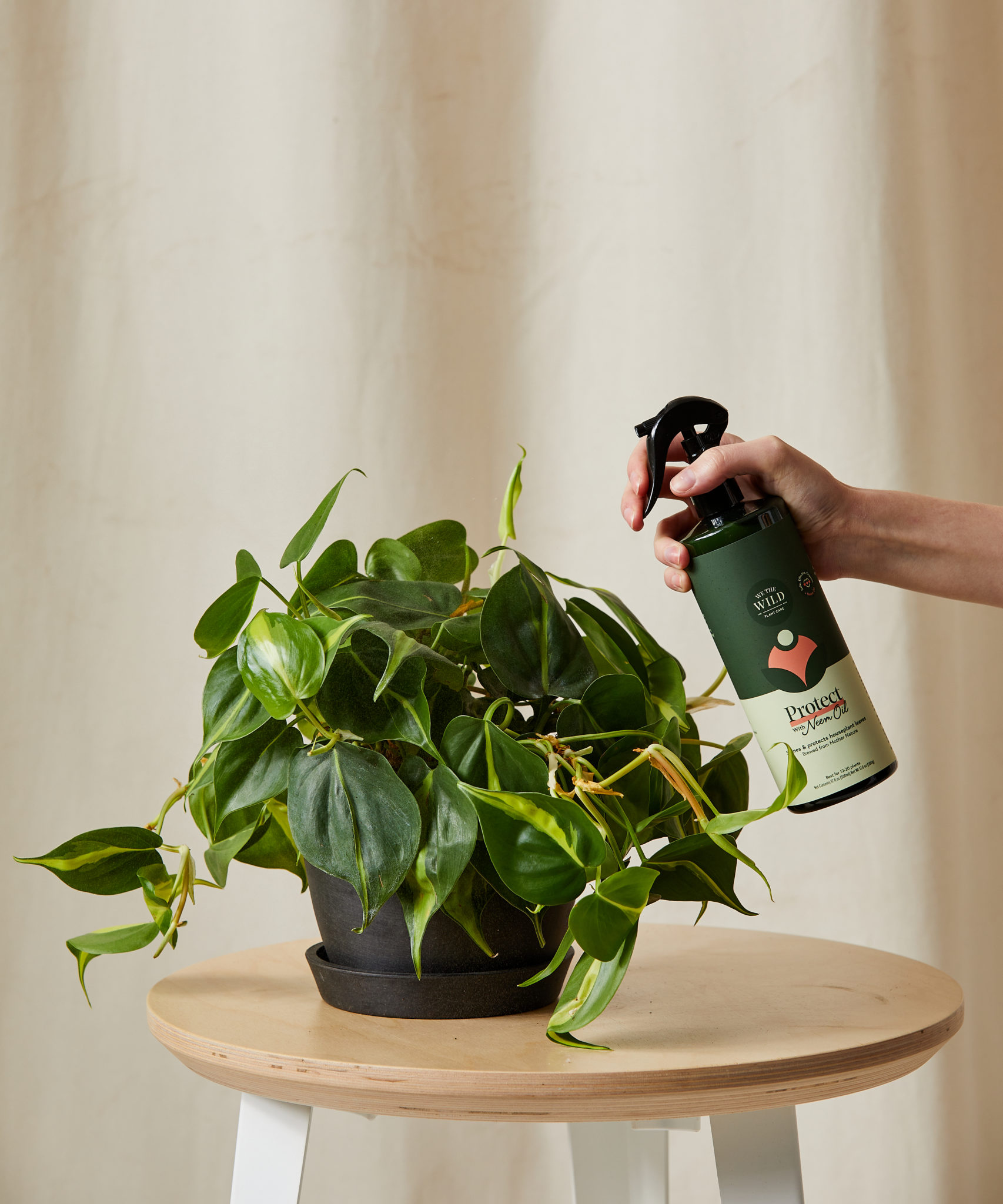 Buy Plant Care Essentials Kit | Bloomscape