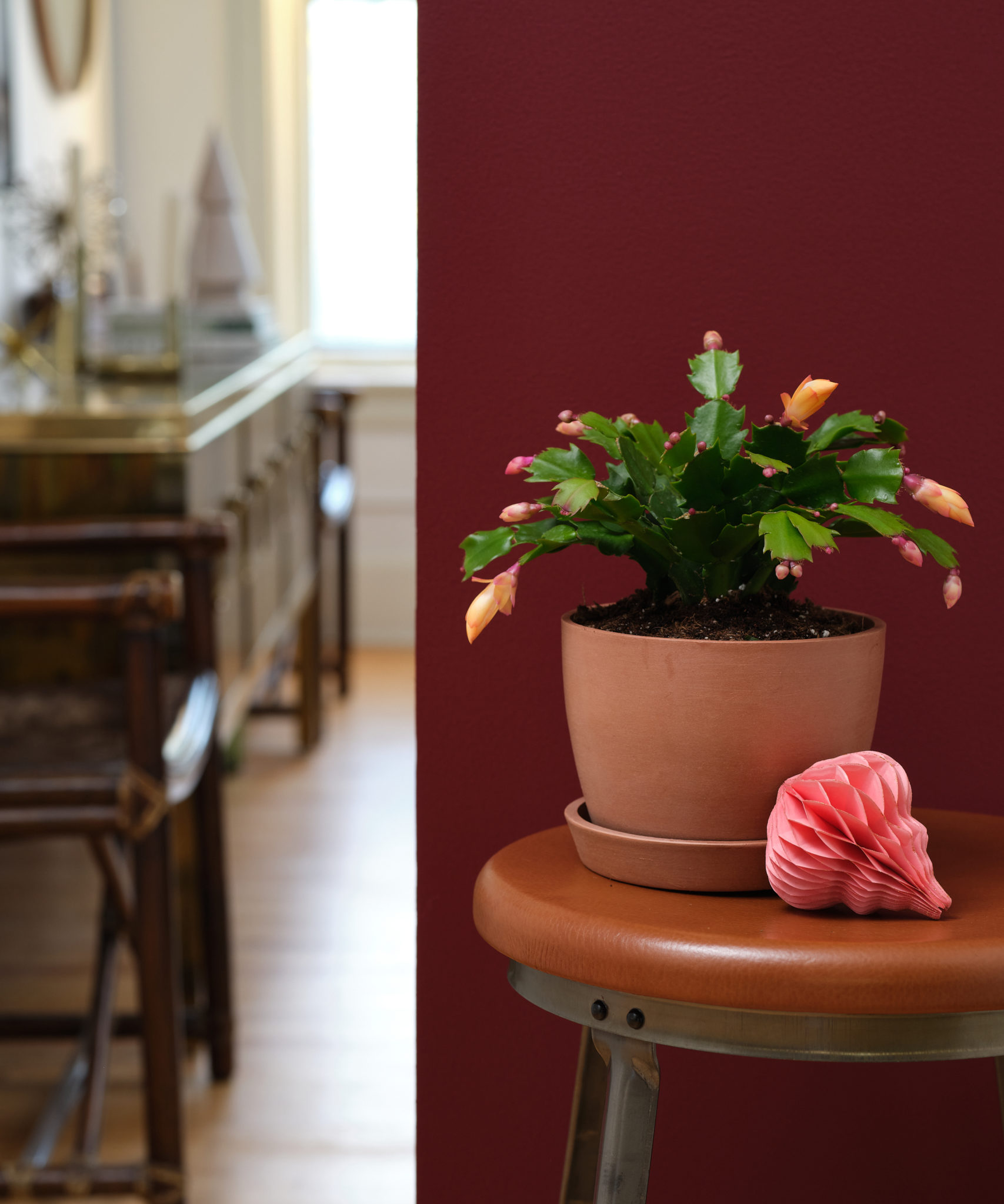 Bloomscape | Home Ready Plants Delivered to Your Door