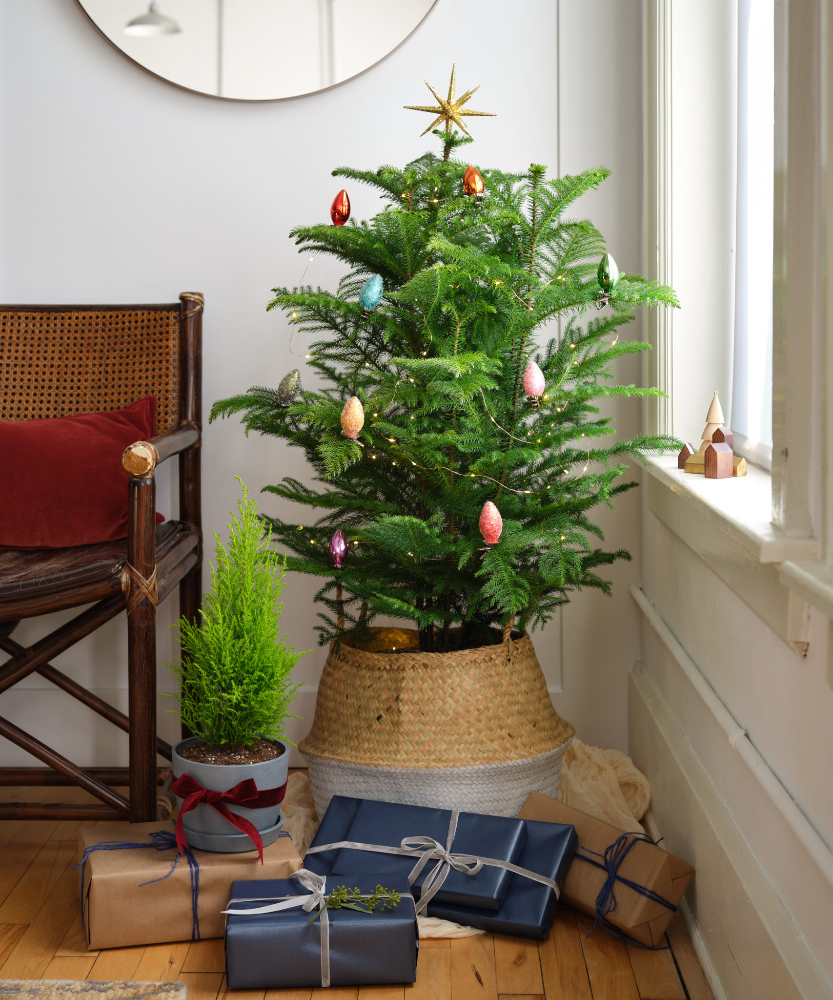 The Benefits Of A Living Christmas Tree | Bloomscape