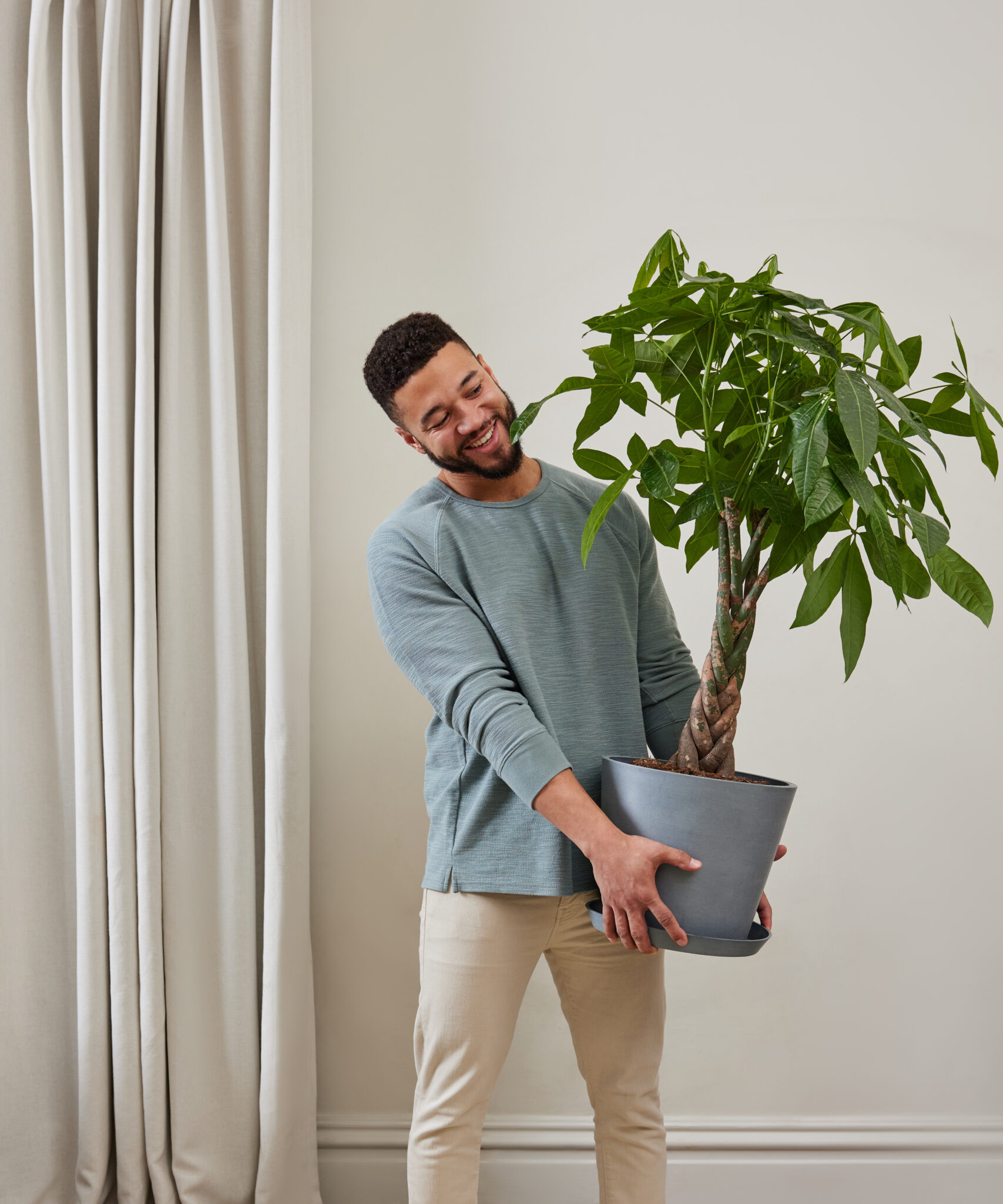 Our Favorite Plants for Dad This Father's Day | Bloomscape