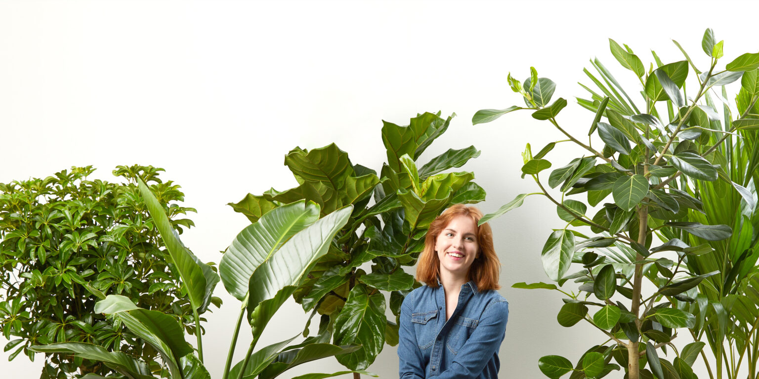 Bloomscape | Home Ready Plants Delivered to Your Door