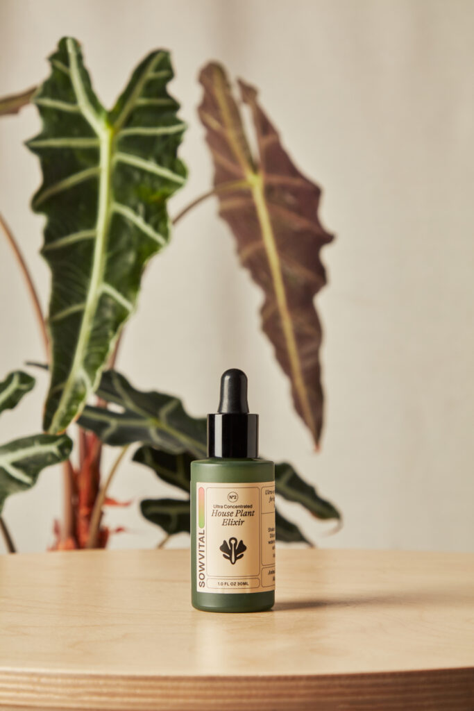 Buy Sowvital House Plant Elixir | Bloomscape