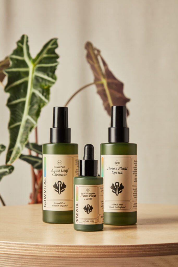 Buy Sowvital Three Step Discovery Set | Bloomscape