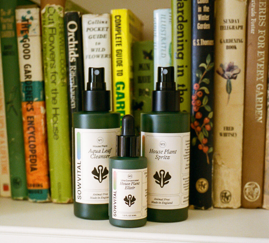 Buy Sowvital Three Step Discovery Set | Bloomscape