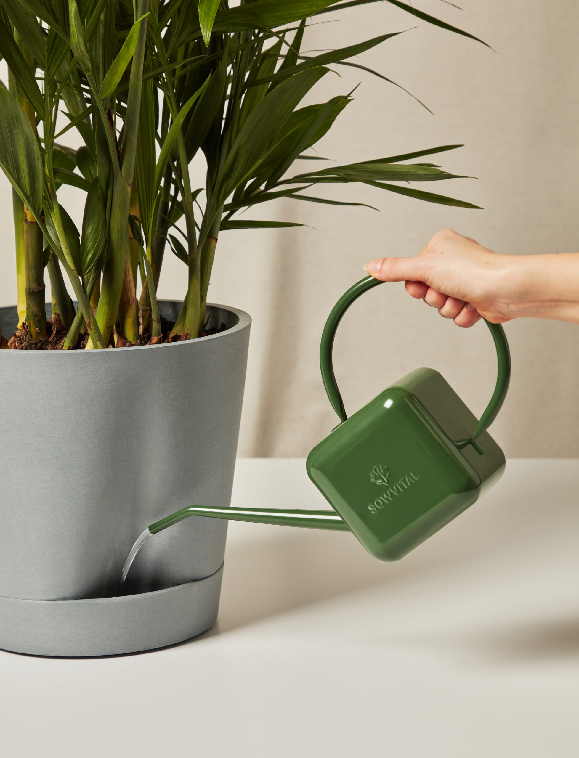 Self-Watering Pots - Bloomscape