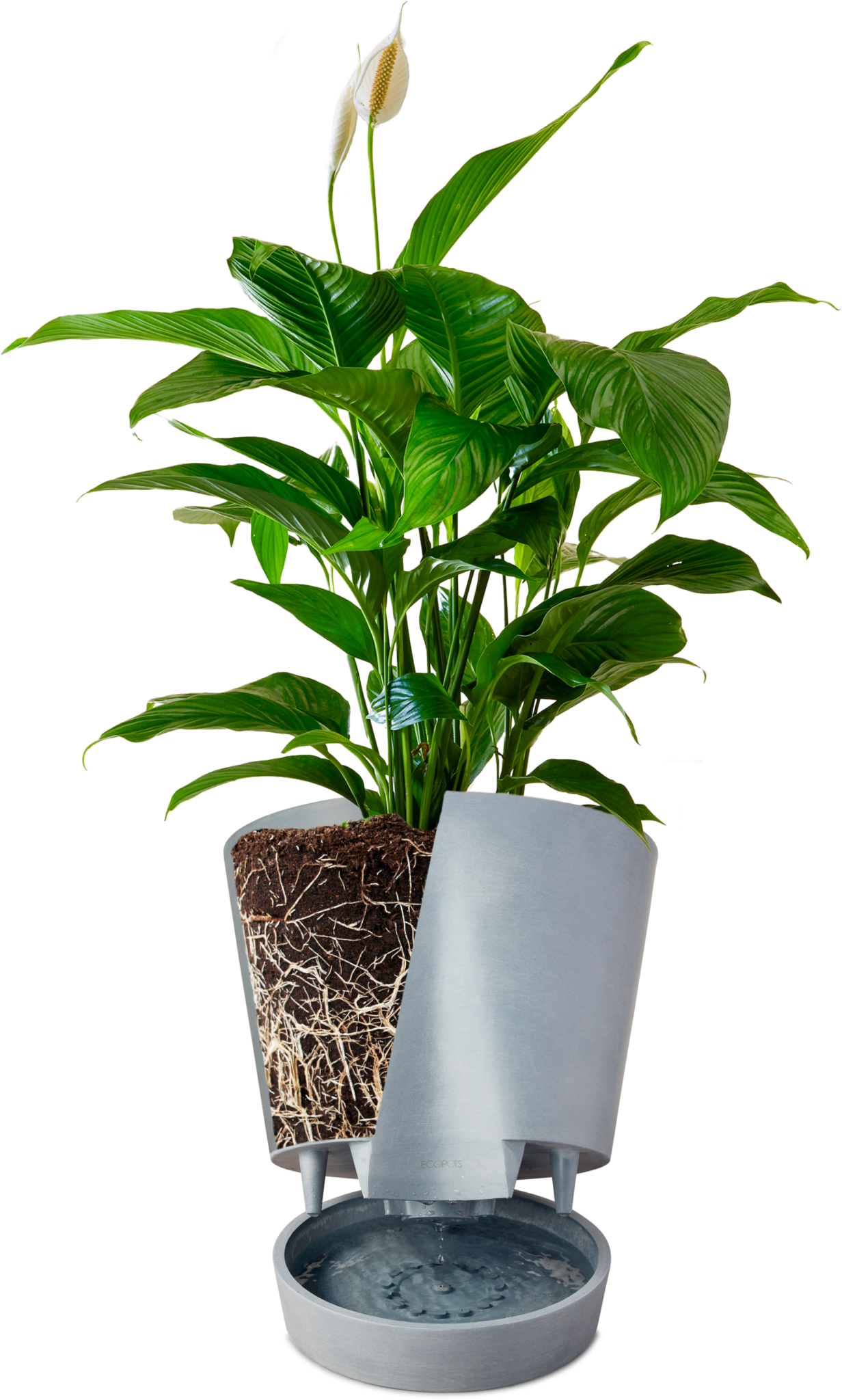 Self-Watering Pots - Bloomscape