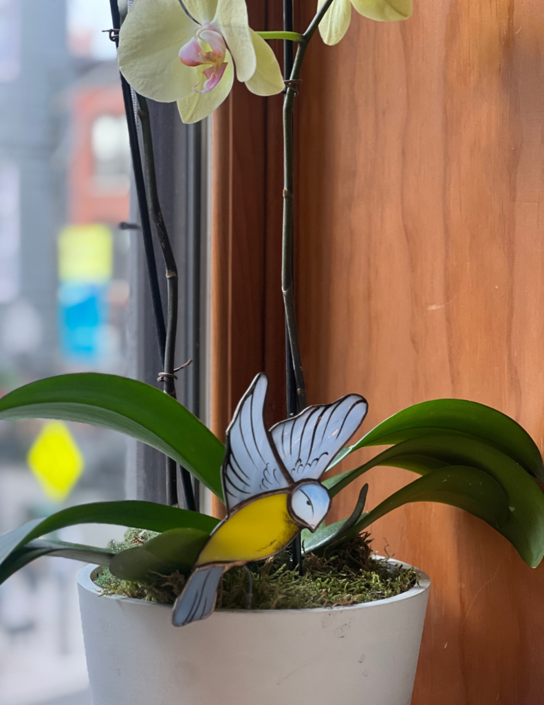 Buy Stained Glass Blue Tit Bird Pot Hugger | Bloomscape